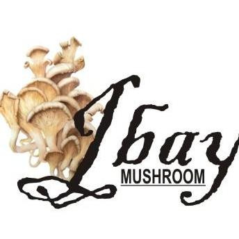 Spore | Jbaymushrooms | Eastern Cape