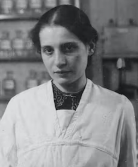 Lise Meitner | Sciteach Online