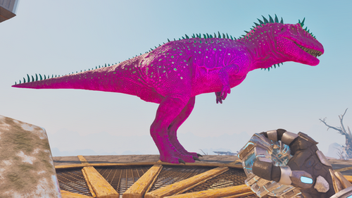 Carcharodontosaurus 805% MD MALE Clone (Cross Pve Warlord) | Arksales.org