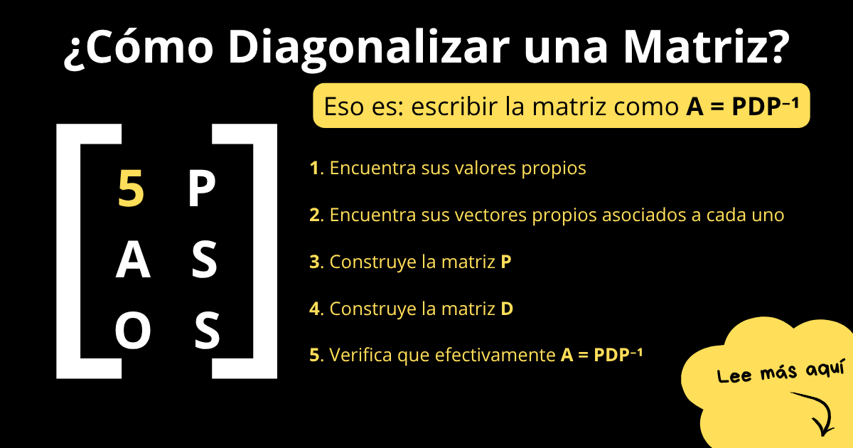 Cómo Diagonalizar Matrices Paso a Paso: Una Guía Clara para Estudiantes ...