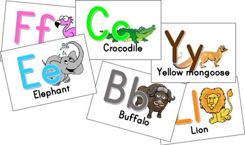 Alphabet Cards: South African Animals (English) | Lesedi Education