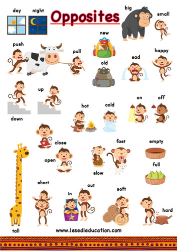 Opposites Poster (PDF) | Lesedi Education