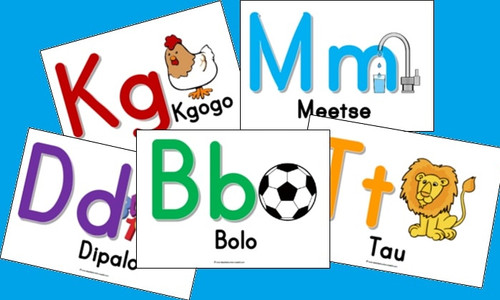 Alphabet Cards: Sepedi | Lesedi Education