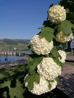 Cloud 1 Badirestaurant Seebadstrasse 6283 Baldegg | Spass | Badi ...