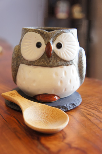 Nara Owl Pottery Mug | Aoinokokoro