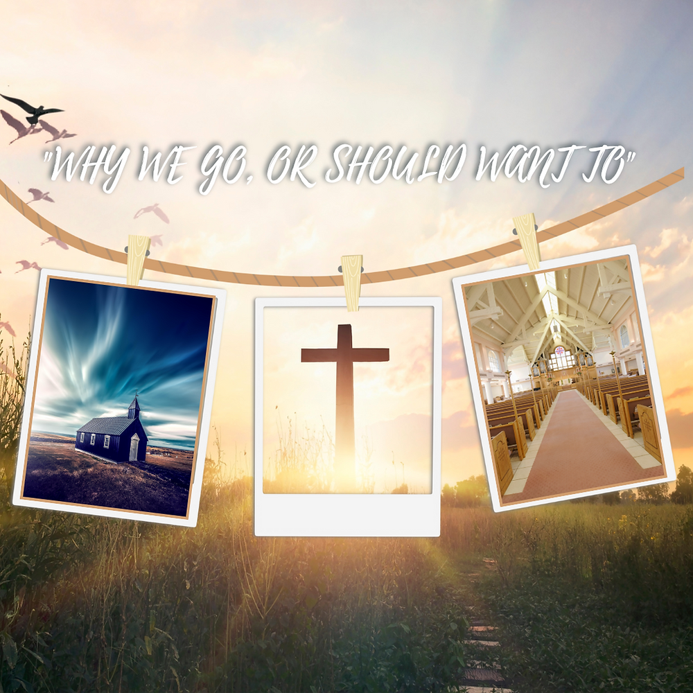 "Why We Go, And Should Want To"