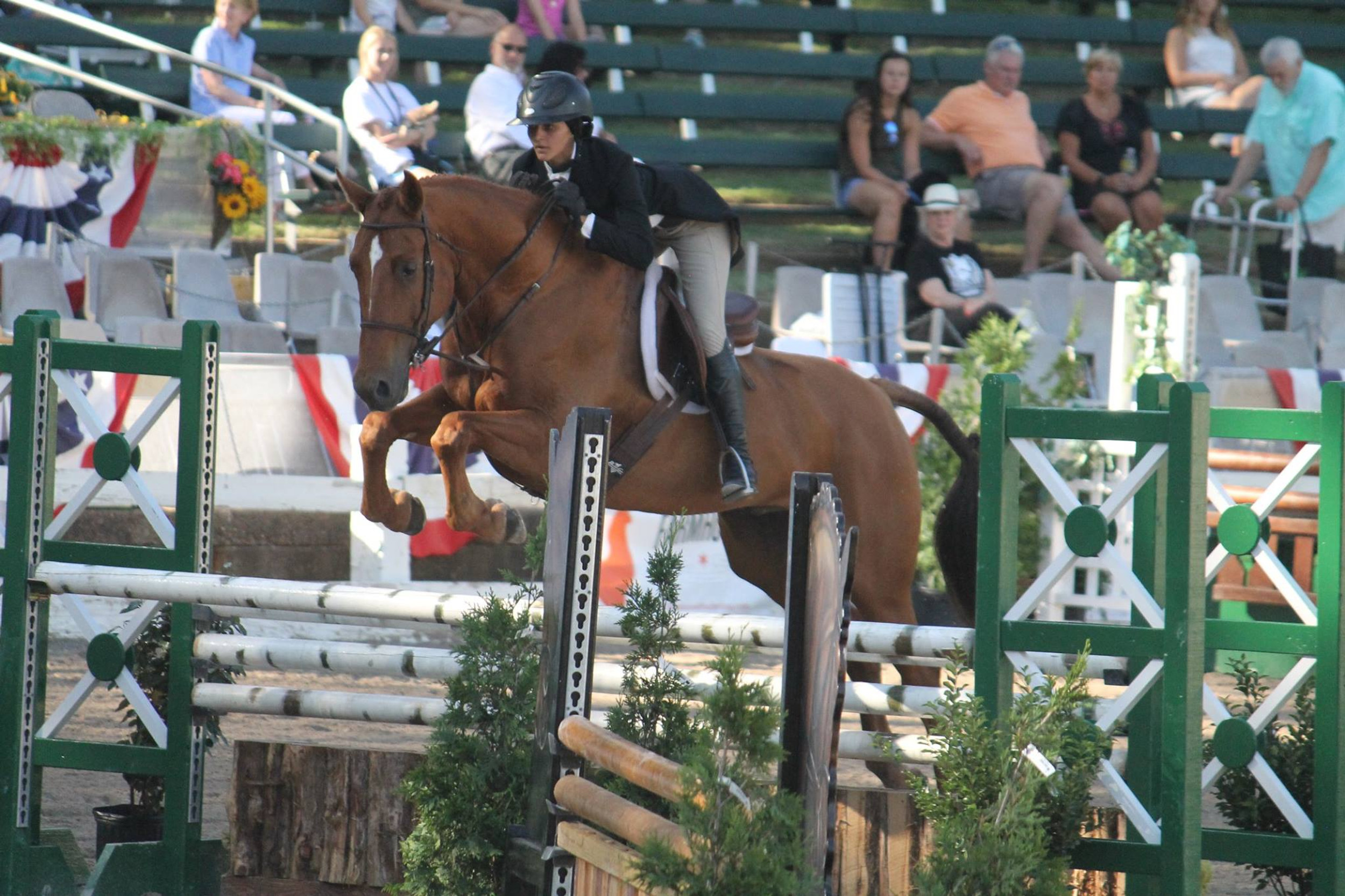 Shows | Hunters Edge Stables