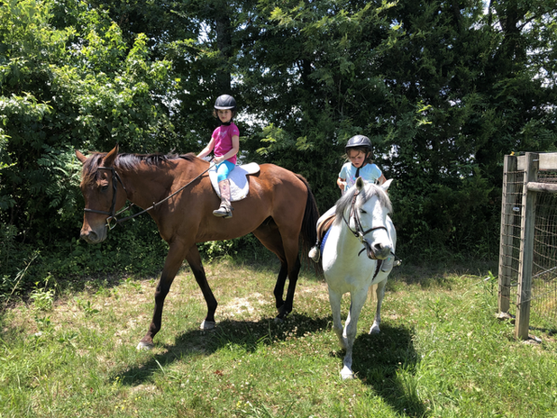 Summer Camps | Hunters Edge Stables