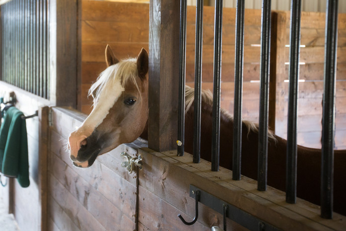 Facility | Hunters Edge Stables
