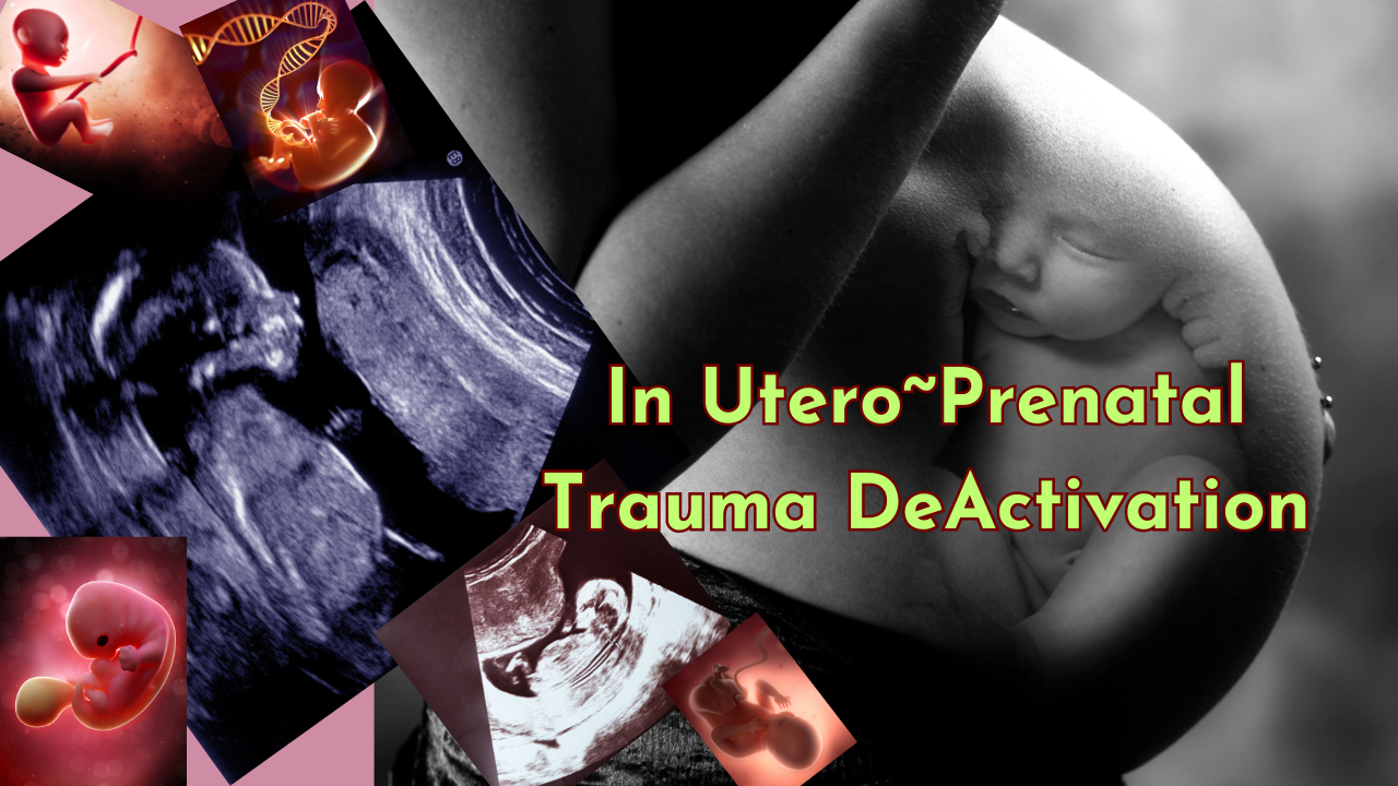 In Utero-Prenatal Trauma DeActivation | Love, Truth & Beauty