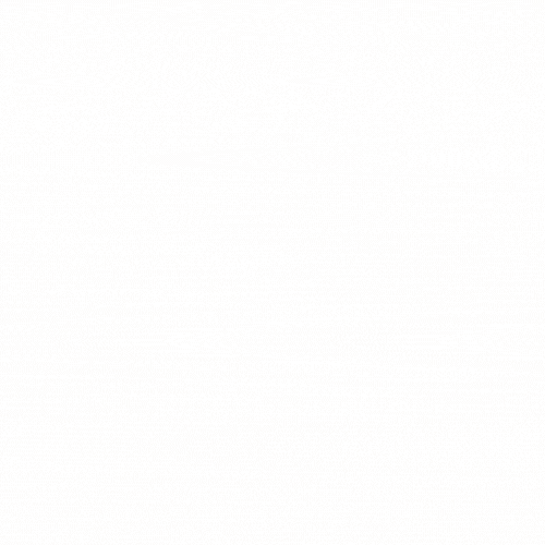 Miss J Photo + Design