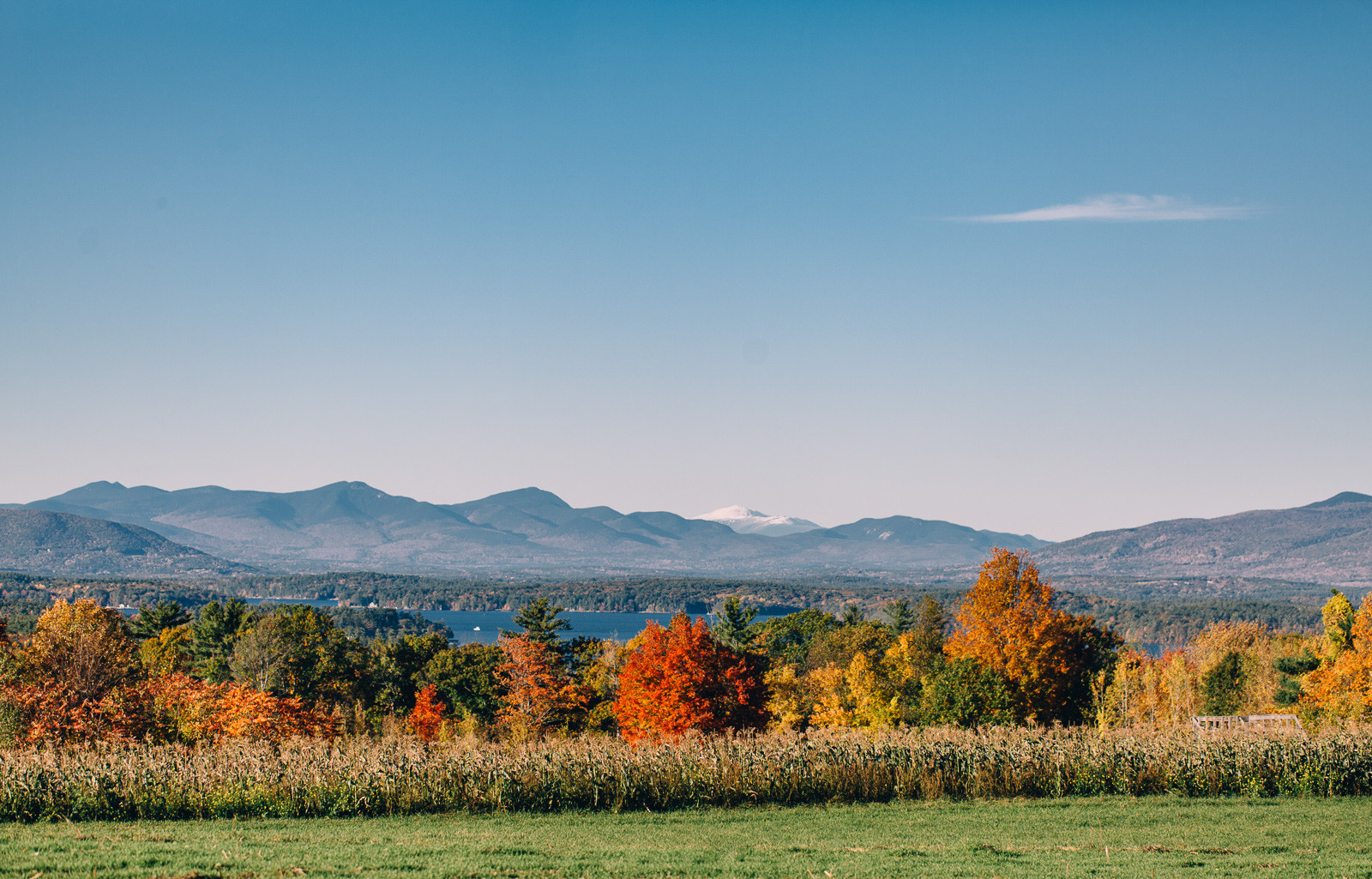 Timber Hill Farm | barn wedding venue