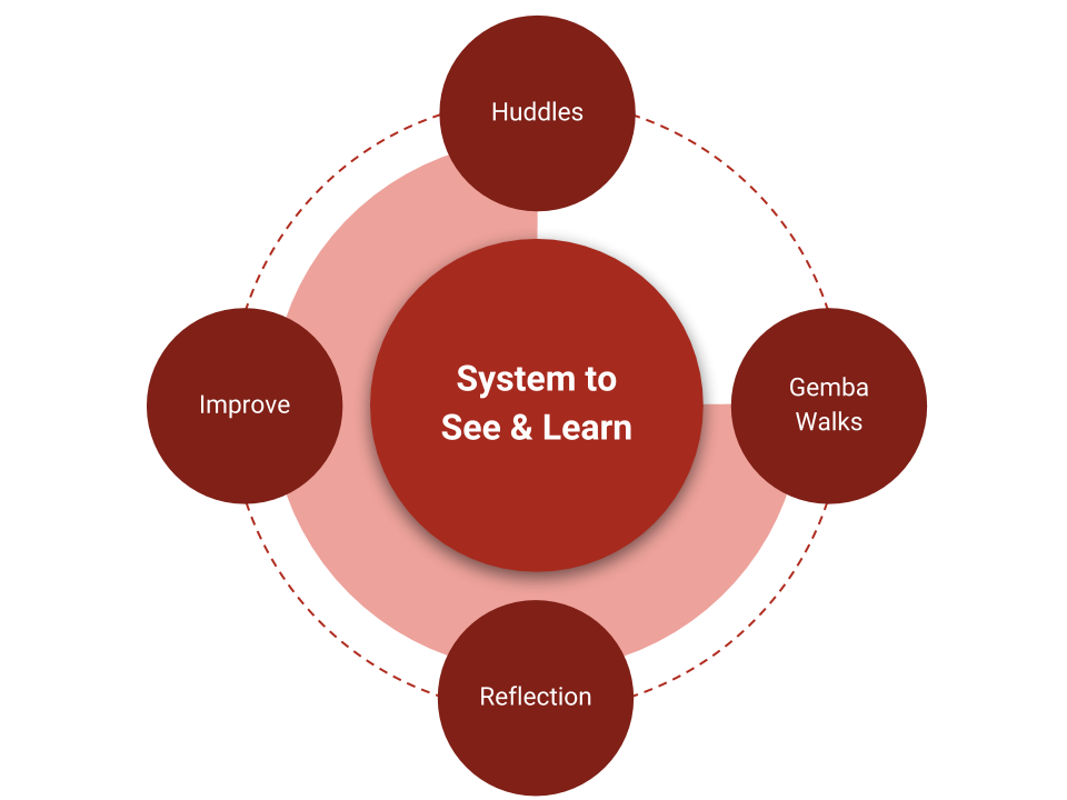 A System to See & Learn