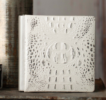 Dean Michaels Studio | Premier Series Album