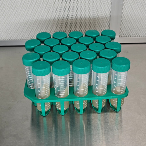 Potato Dextrose Agar (PDA) Slants in SPL 50ml Conical Centrifuge Tubes ...