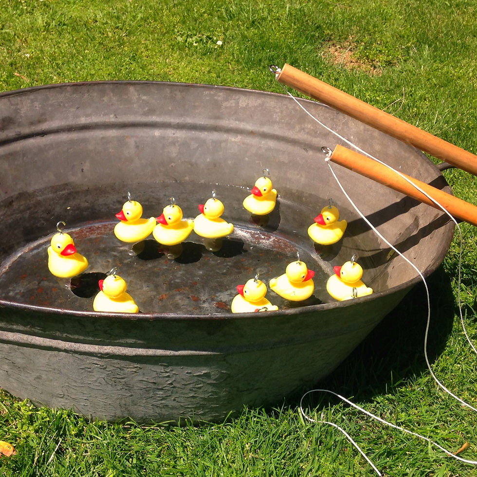 The Cheshire Cat Company, Traditional Games Hire, Christchurch