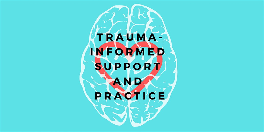 Trauma-Informed Support and Practice Workshop