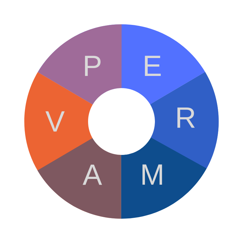 O Modelo PERMA-V para uma vida feliz