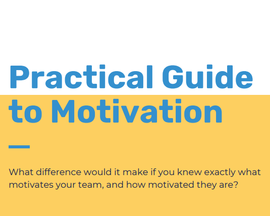 The Practical Guide to Motivation | Aspirin Business