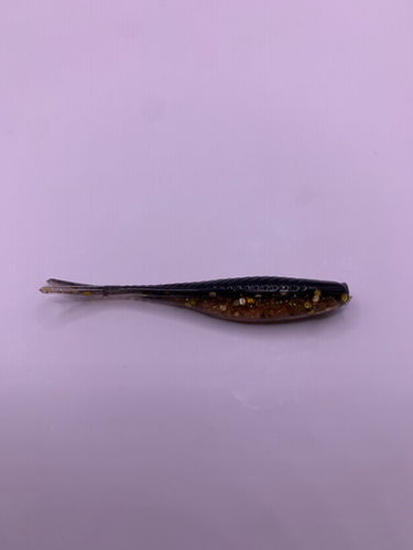 Glittery Gold Fat Head Tracer Minnow 2 Inch 12 Pack | Lutke Tackle LLC