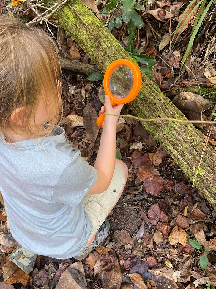 The Preschool Naturalist