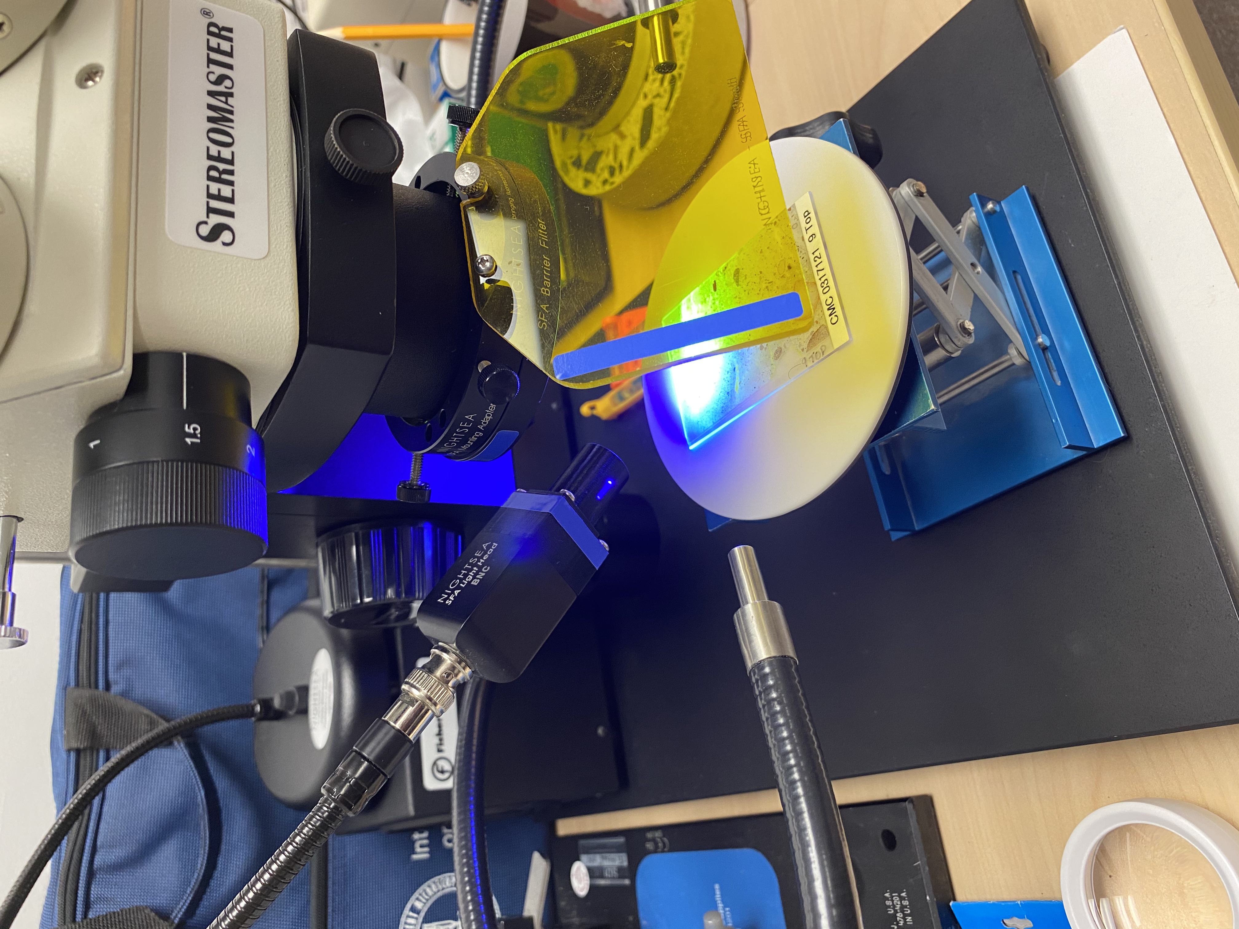 Optical Microscopy | Construction Materials Consultants, Inc.