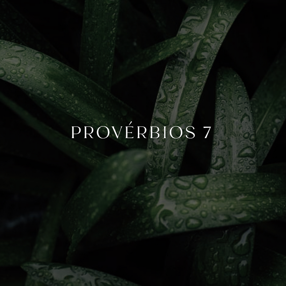 Provérbios 7 - A sabedoria de guardar os mandamentos