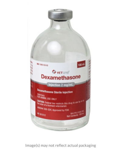 Dexamethasone Injectable | Petaluma Equine