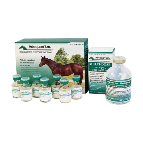Equine Adequan IM | Petaluma Equine