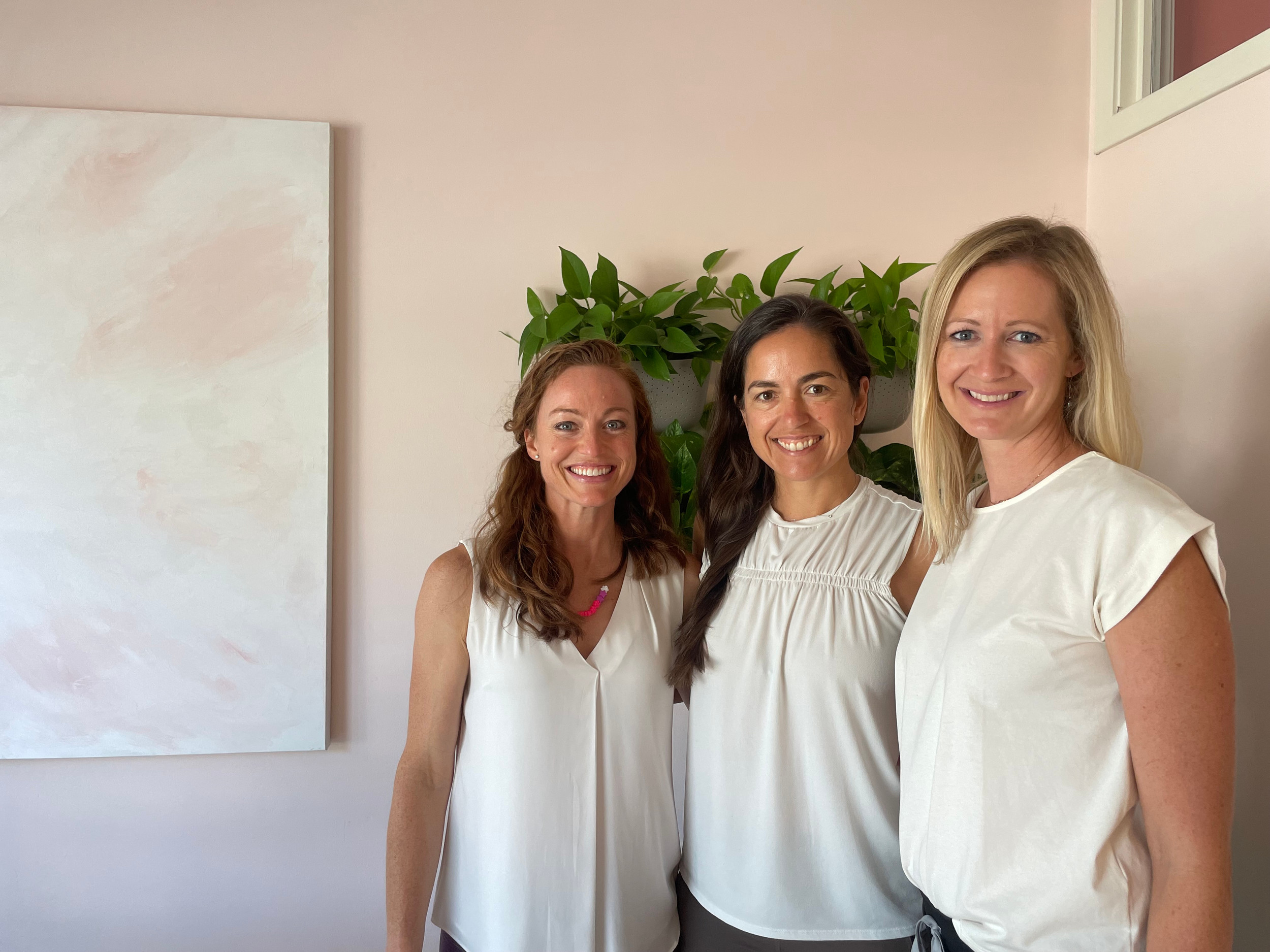 Book | RVA Holistic PT | Pelvic floor physical therapy