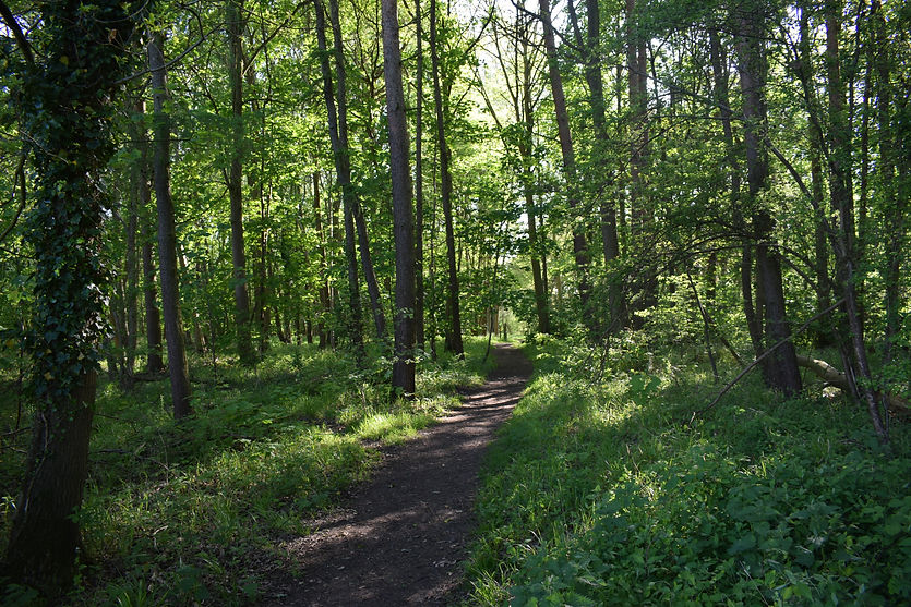 WALK | The Cowshed Café