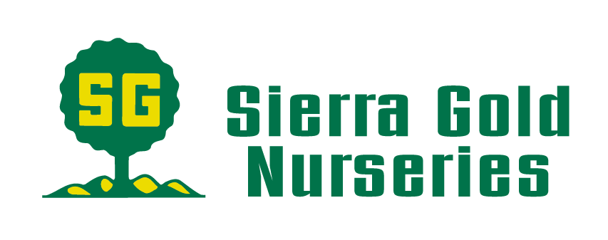 Quality Control Laboratory| Sierra Gold Nurseries