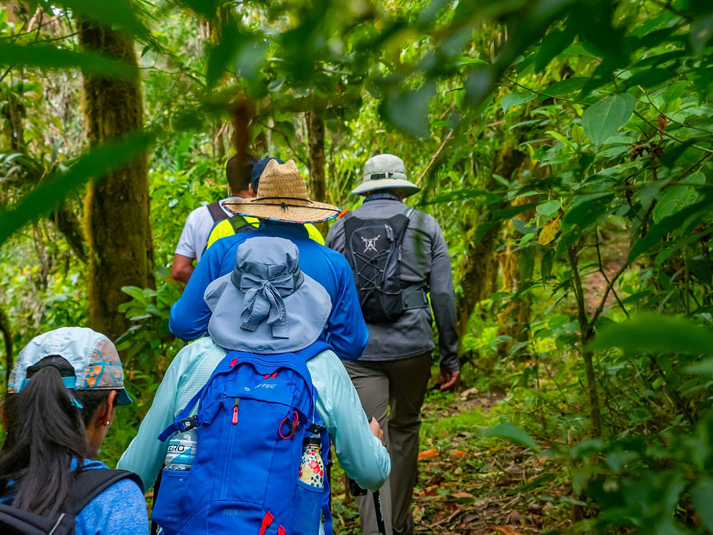 Reservas | El Iral Bosque Nuboso