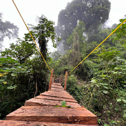 El Paraiso del Senderismo | El Iral Bosque Nuboso