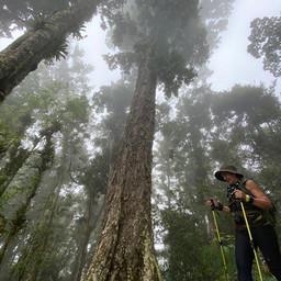 Costa Rica's Hikers Paradise | El Iral Cloud Forest
