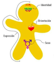 Identidad de género: Conceptos claves
