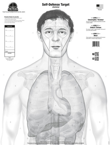 Self-Defense Anatomy Target Greyscale - Qty of 25 | TacticalTargetSystem