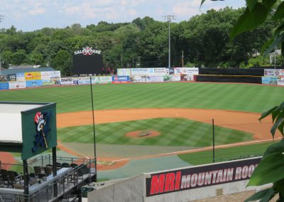 Calfee Park - Pulaski River Turtles