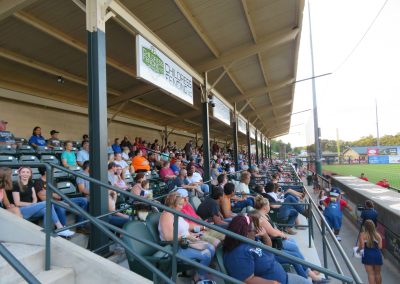 Calfee Park - Pulaski River Turtles
