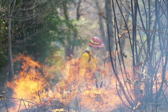 Cultural Fire | Cultural Fire Management Council | Weitchpec