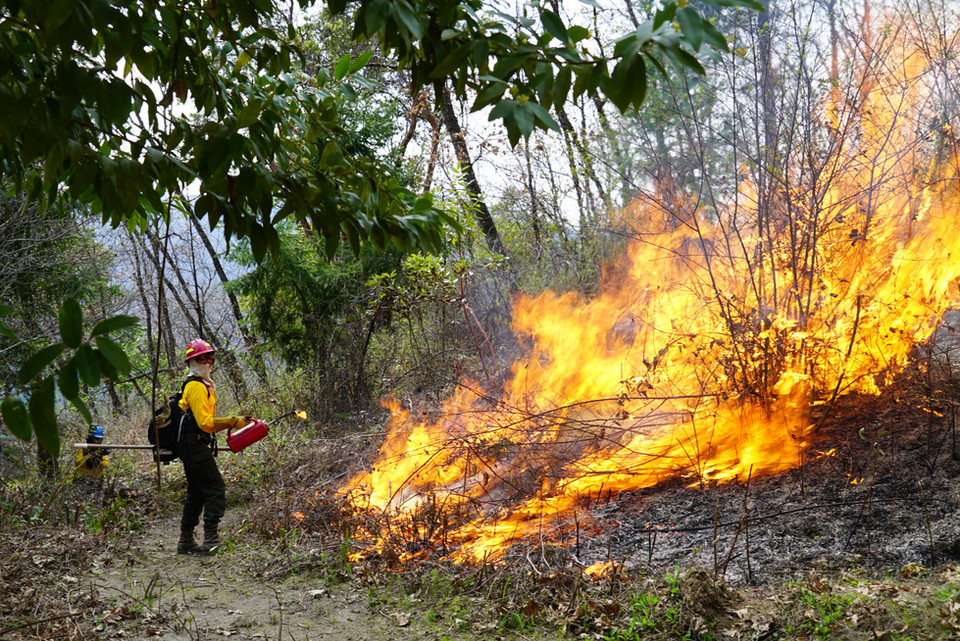 Cultural Fire | Cultural Fire Management Council | Weitchpec