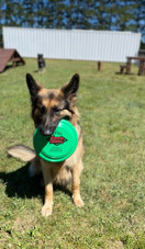 Banning RV Park and Campground Minnesota camping | United States | Ban