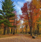 Banning RV Park and Campground Minnesota camping | United States | Ban