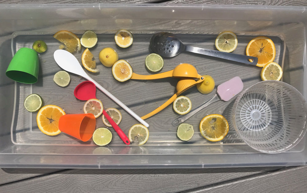 Citrus Play on a Summer Day!