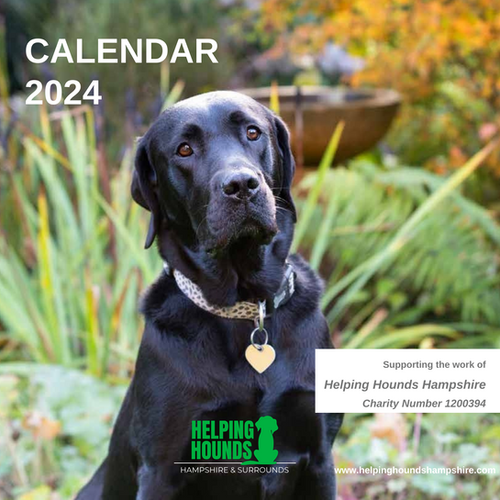 The Helping Hounds 2024 Calendar | Helping Hounds