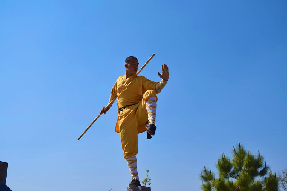 Gallery | RDS China - KungFu