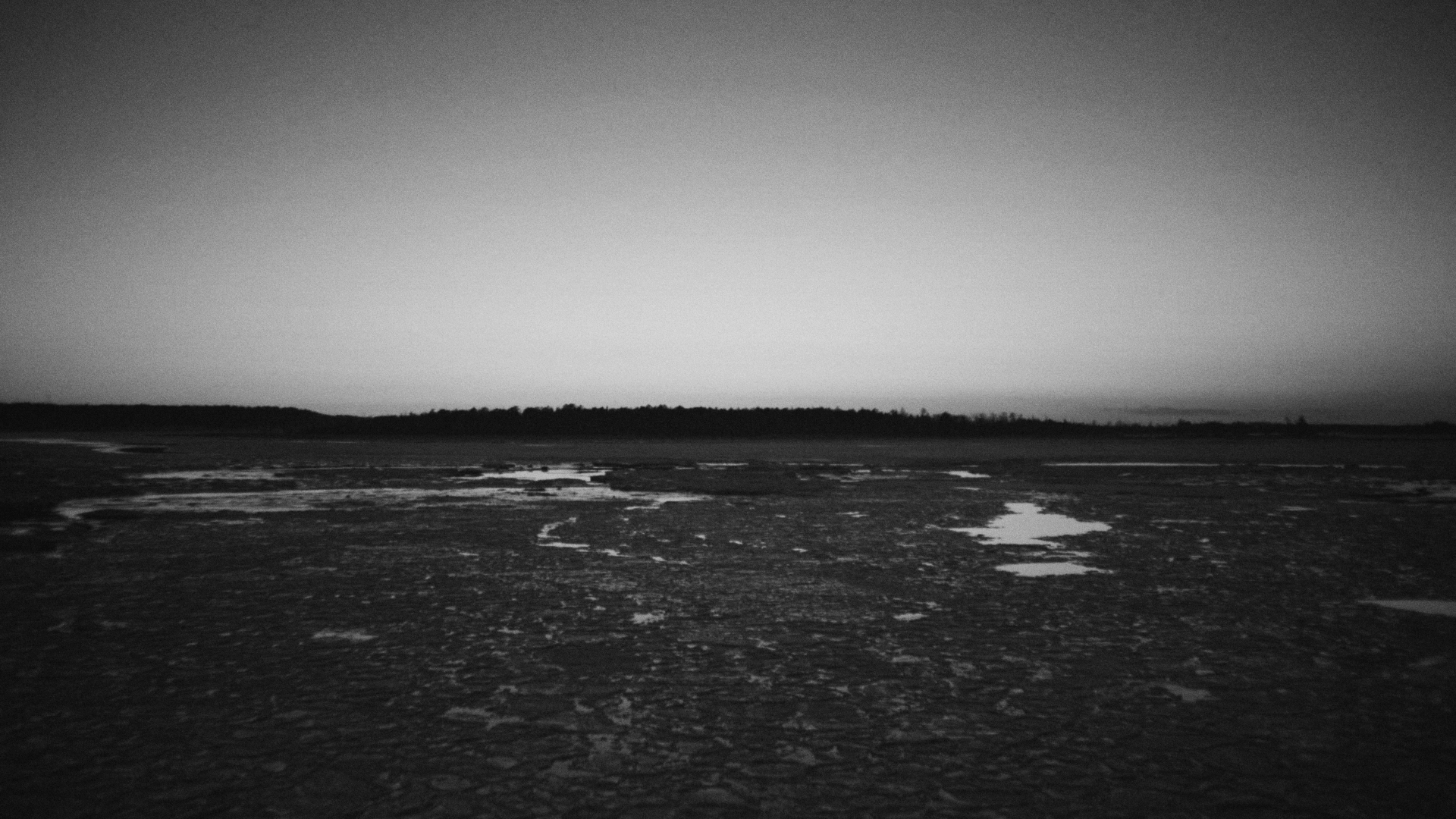 Yusuke Ishida | Film Director