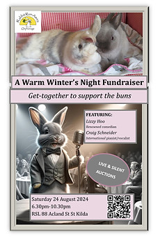 Rabbit rescue | Olinda | Rabbit Run-Away Orphanage