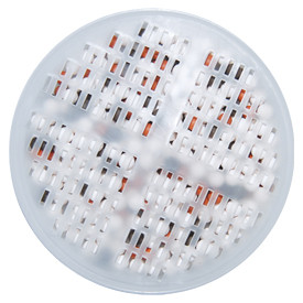 Ceramic Filter for Anion 101 | The Water Tree