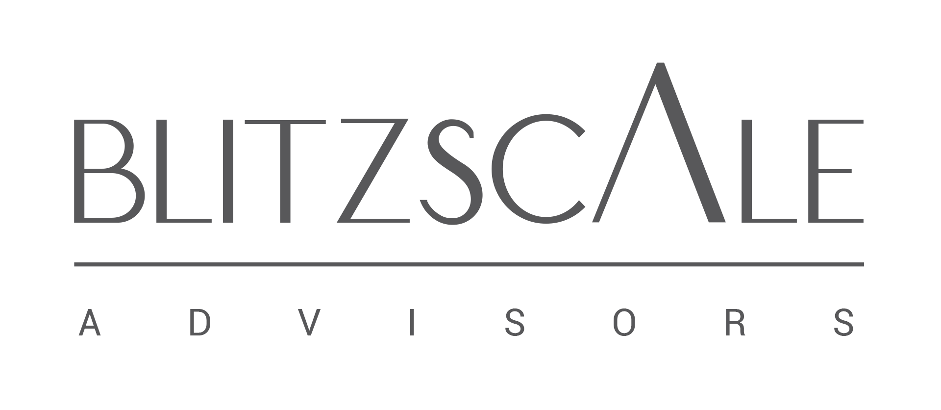 Investment Firm | Blitzscale Advisors | Mumbai